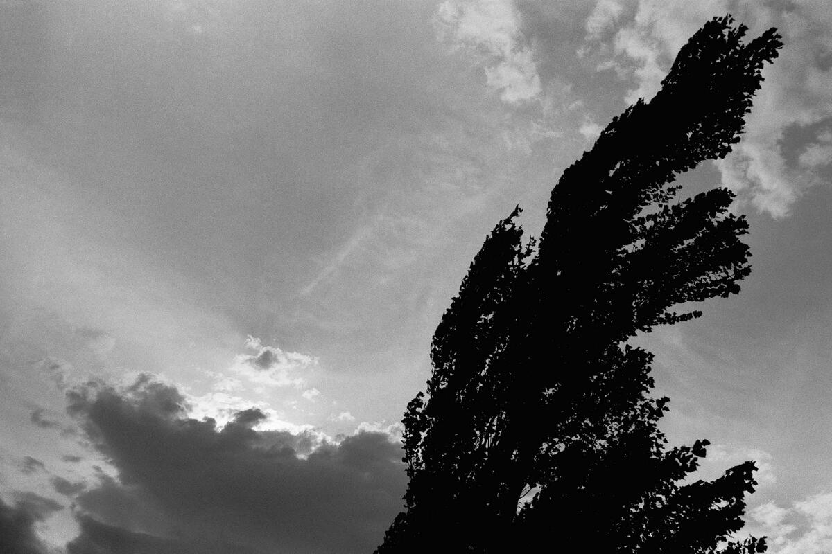 Preface | Raymonde April : traversée